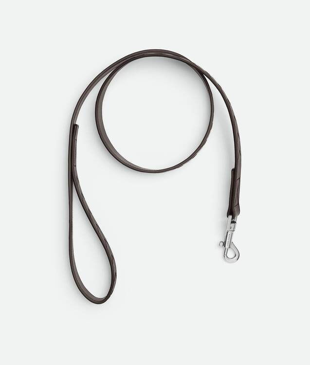 Medium Intrecciato Dog Leash in Fondant | Bottega Veneta ZW