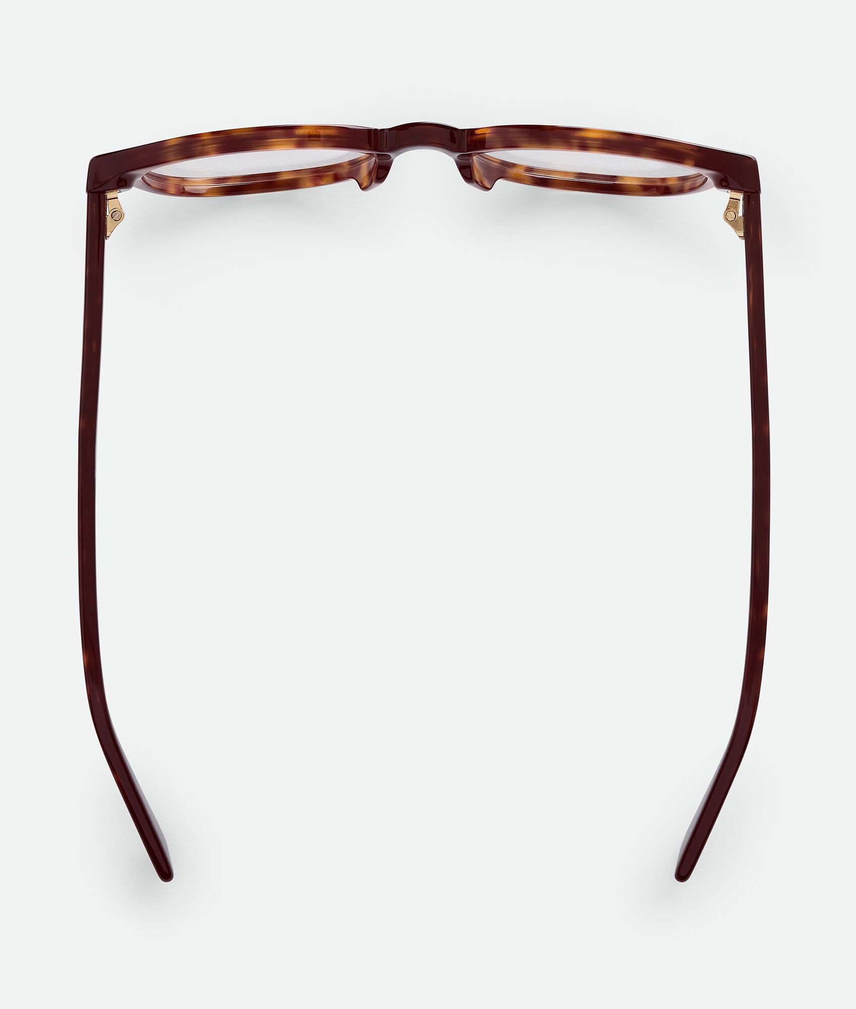 Classic Panthos Eyeglasses in Havana/transparent | Bottega Veneta US