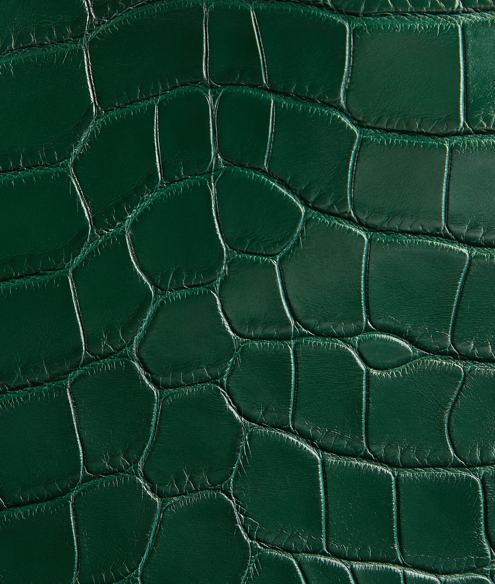 Women's Sardine in Emerald green | Bottega Veneta US