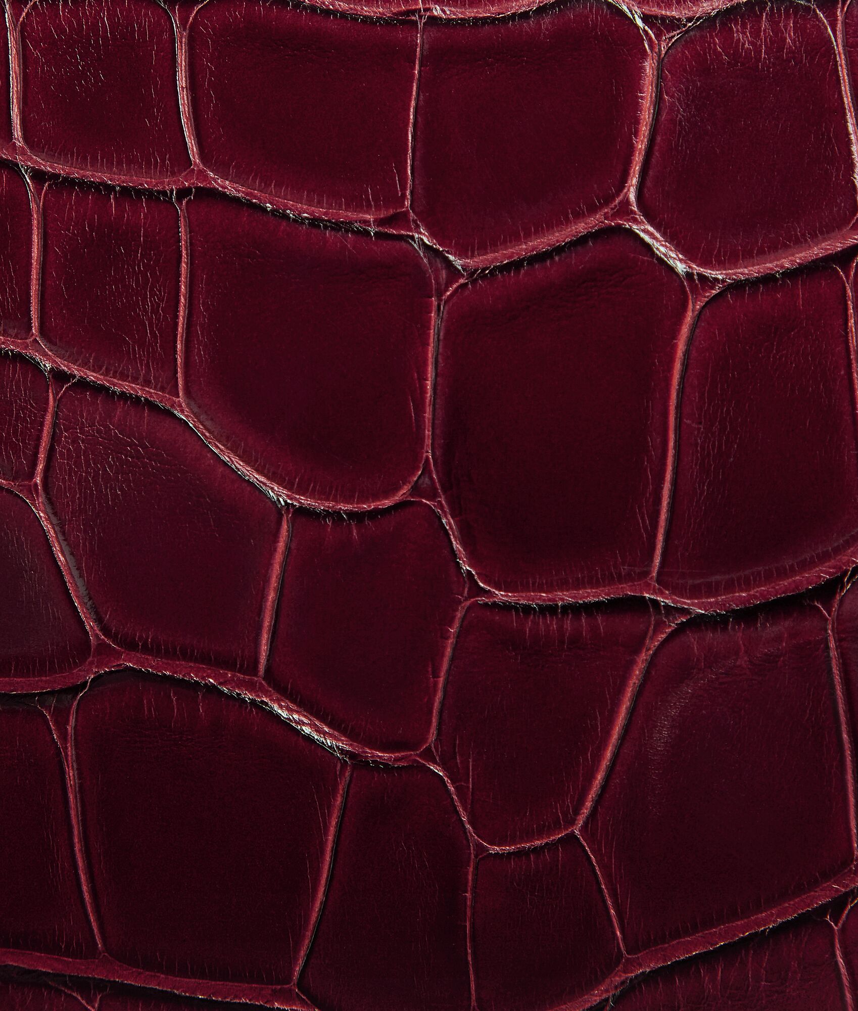 Knot in BAROLO | Bottega Veneta® US